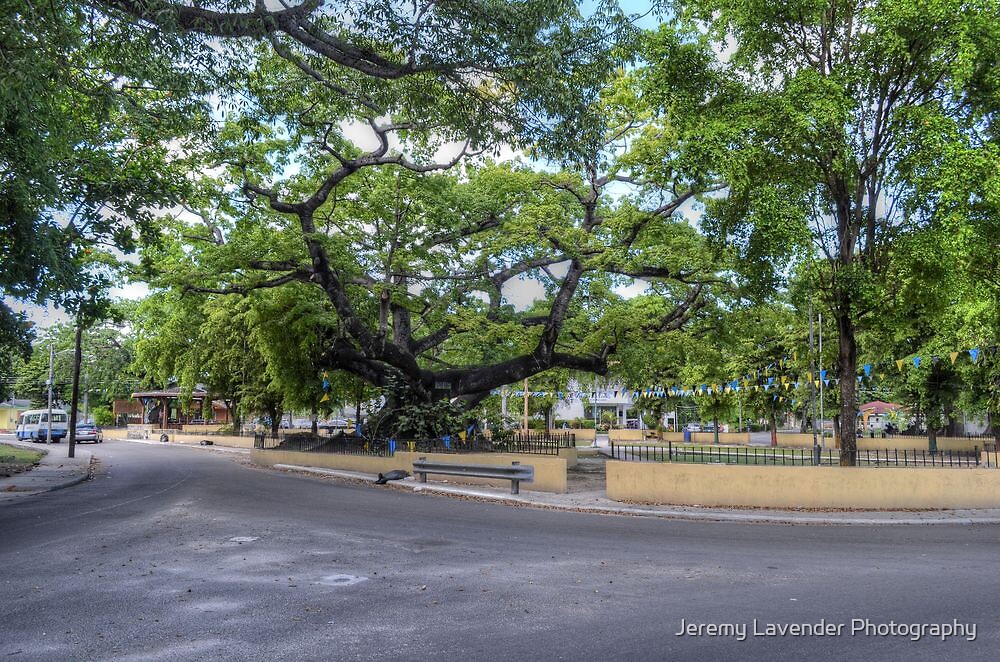 Fox Hill Park In Nassau The Bahamas By Jeremy Lavender Photography Redbubble