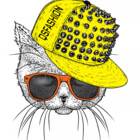 QSFashion ⭐⭐⭐⭐⭐ Shop | Redbubble