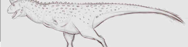 Letiche Shop | Redbubble