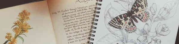 Kaleigh Day Shop | Redbubble