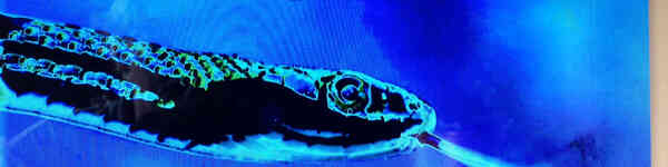 Vincent von Frese Shop | Redbubble