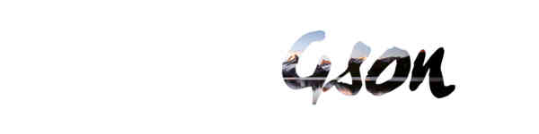 Gson Shop | Redbubble