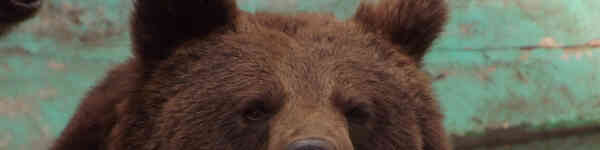 Mel Pearce Shop | Redbubble