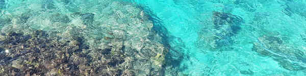 Stacey Hatton Shop | Redbubble