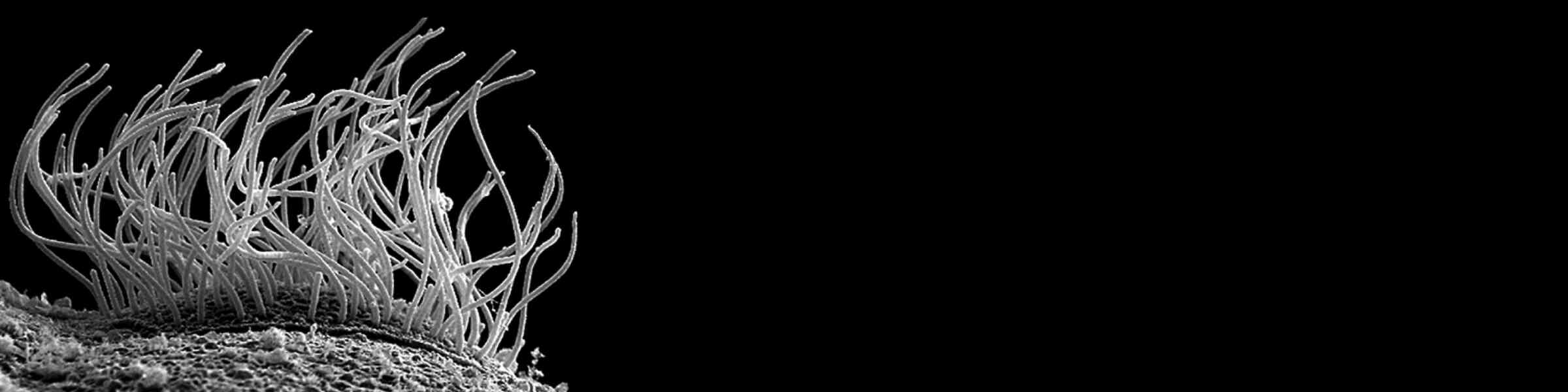 Ohnolog Shop | Redbubble