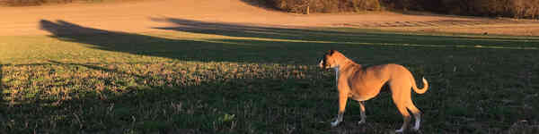 helio-hawk Shop | Redbubble