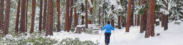 David Galson Shop | Redbubble