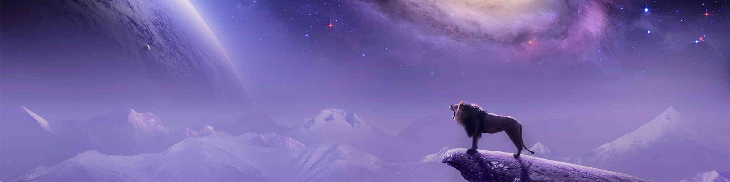 Milodon Shop | Redbubble