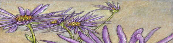 Mindy Stephens Shop | Redbubble