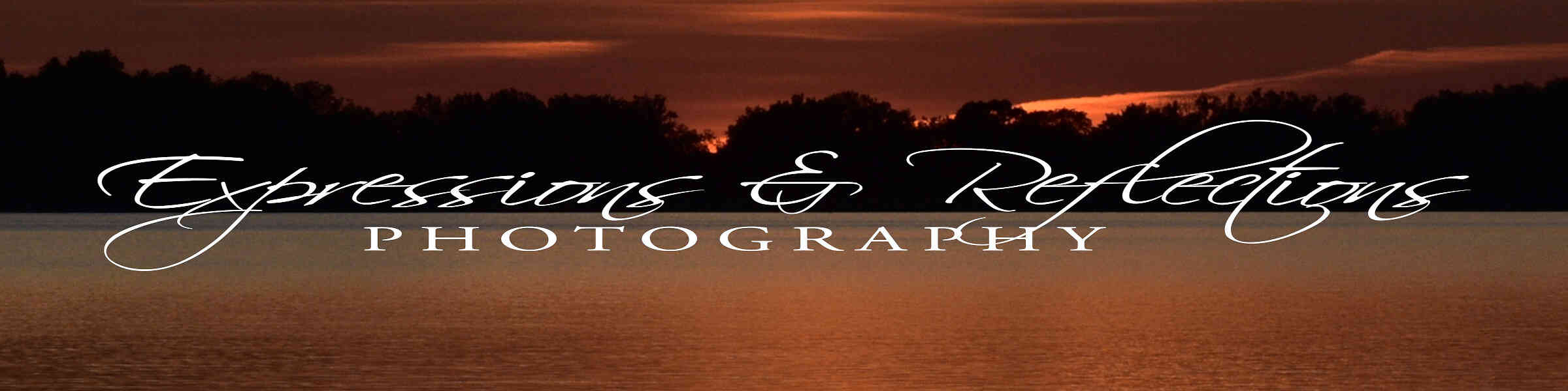 Shellie Hill Shop | Redbubble