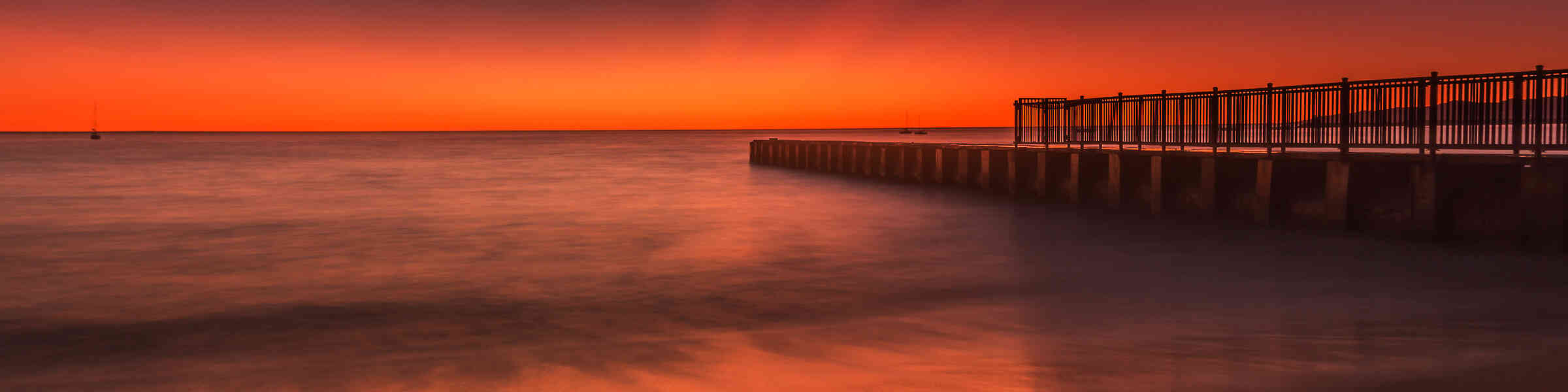 Aylon Wilder Shop | Redbubble