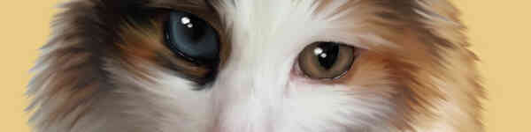 Becky Pike Shop | Redbubble