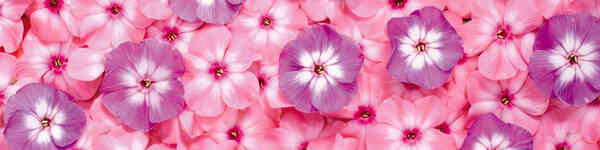 Jmina Shop | Redbubble