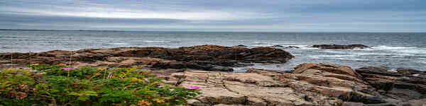 Mackabee Shop | Redbubble