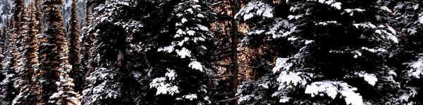 Emma Rutledge Shop | Redbubble