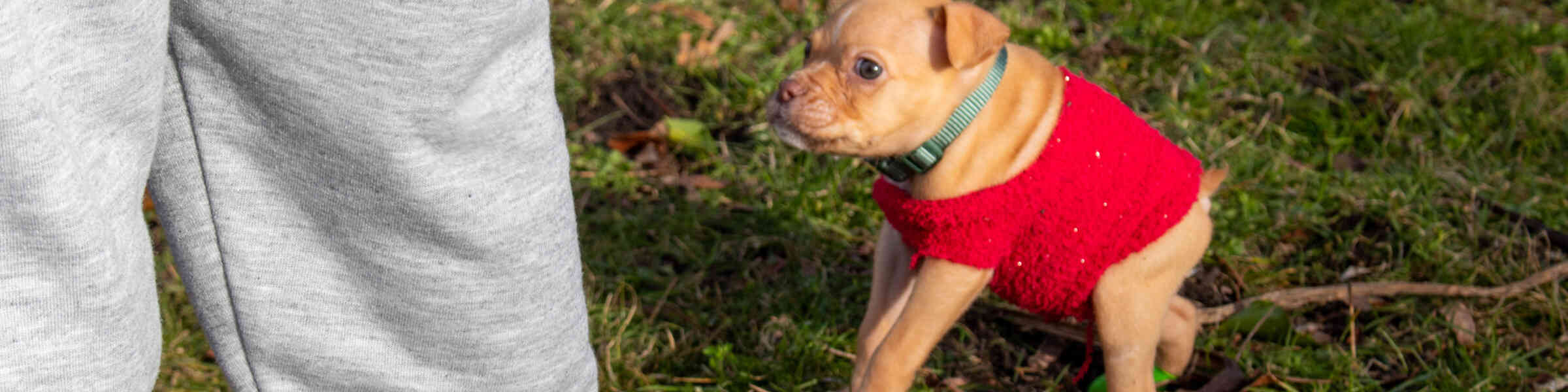 Ivyvibing Shop | Redbubble