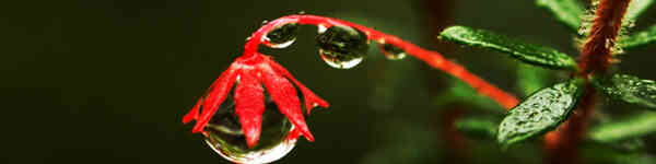 Aileen David Shop | Redbubble