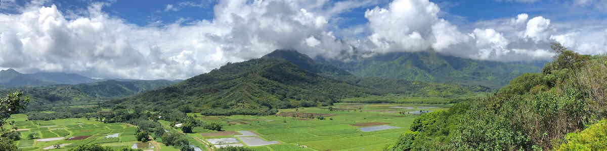 Christian Loszewski Shop | Redbubble