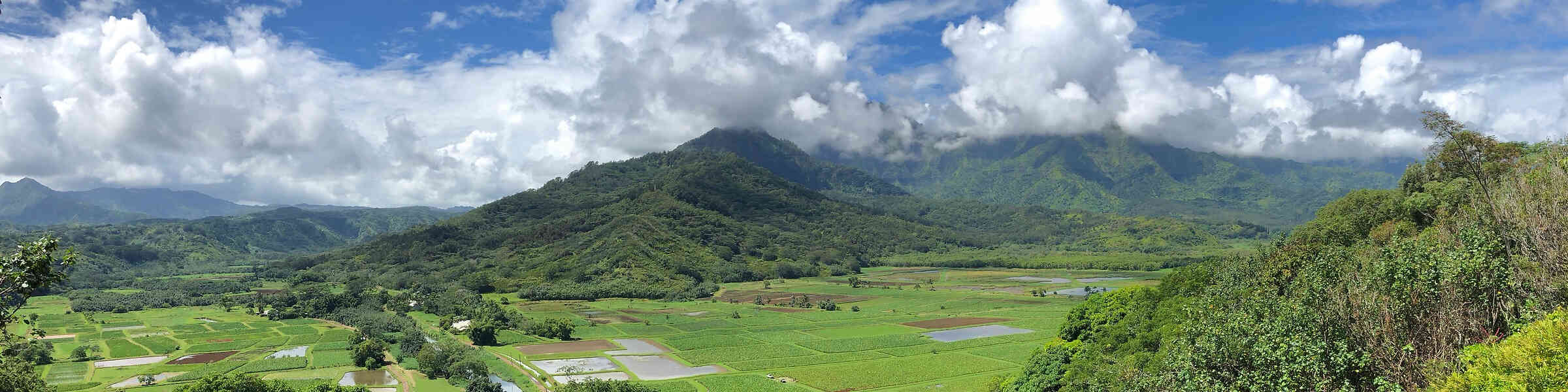 Christian Loszewski Shop | Redbubble