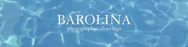 Barolina Shop | Redbubble