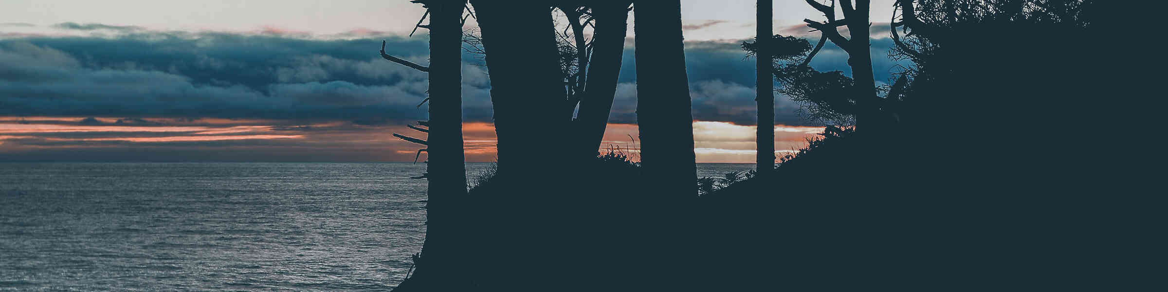 Corey Rudolph Shop | Redbubble