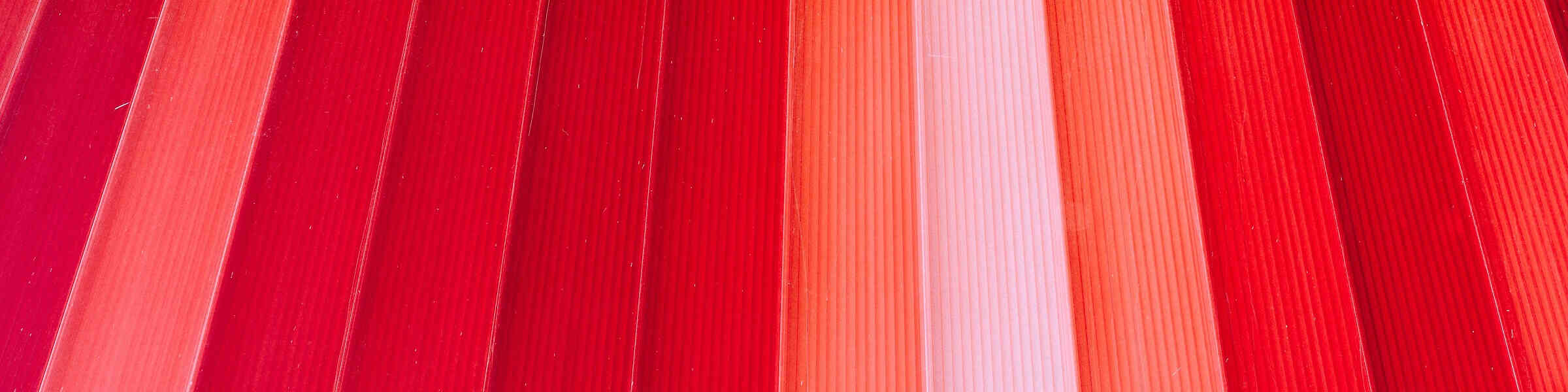 Kayla Daigle Shop | Redbubble