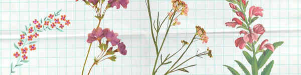 Tiima Shop | Redbubble