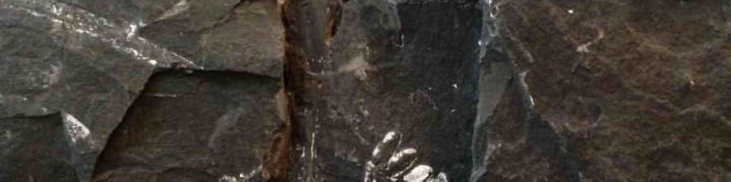 Jason Tompkins Shop | Redbubble