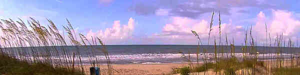 Kaley Wisner Shop | Redbubble