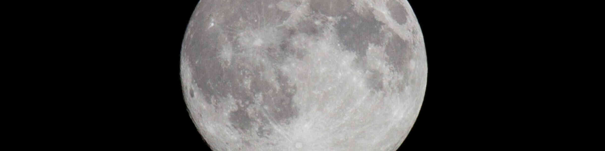 Phyllis Thompson Shop | Redbubble