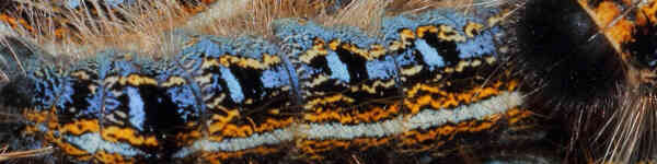 Kane Slater Shop | Redbubble