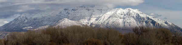 Tom Talbott Shop | Redbubble