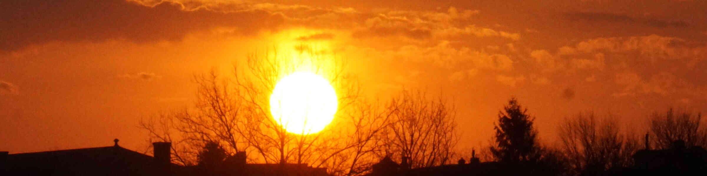 Susan Tacey Shop | Redbubble