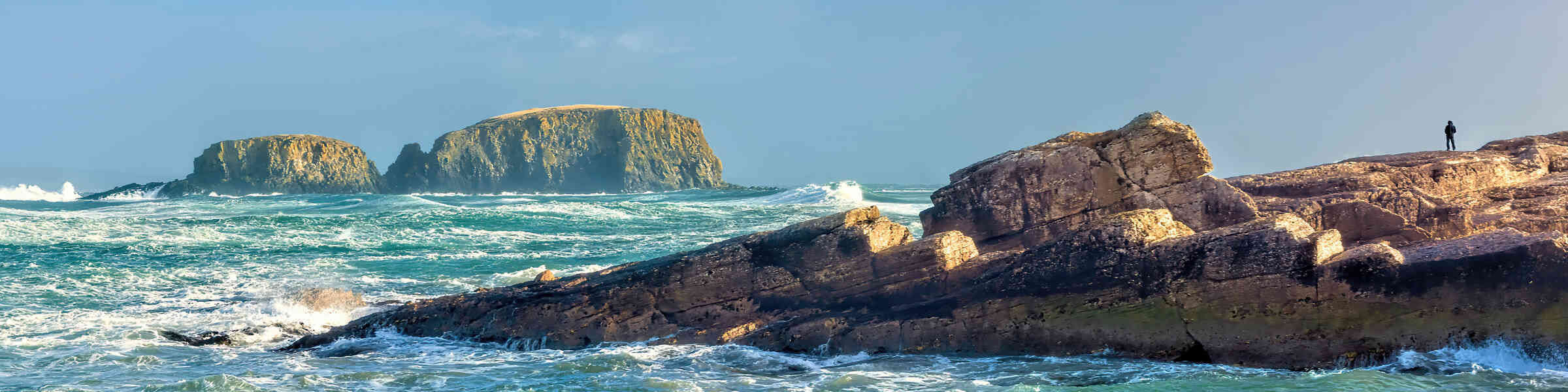 Jim Hamilton Shop | Redbubble