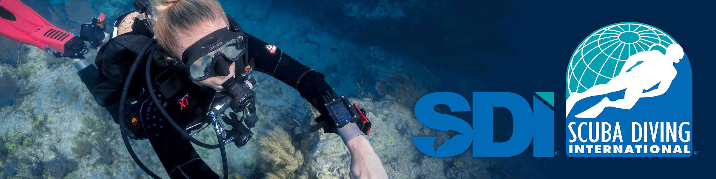 Shop-SDI Shop | Redbubble