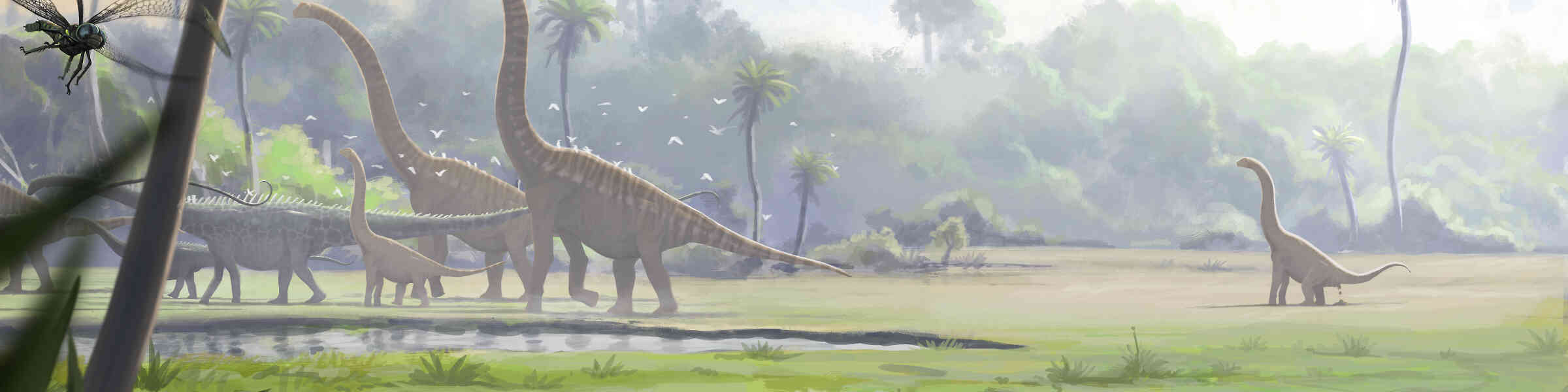 Paleo-parallax Shop | Redbubble