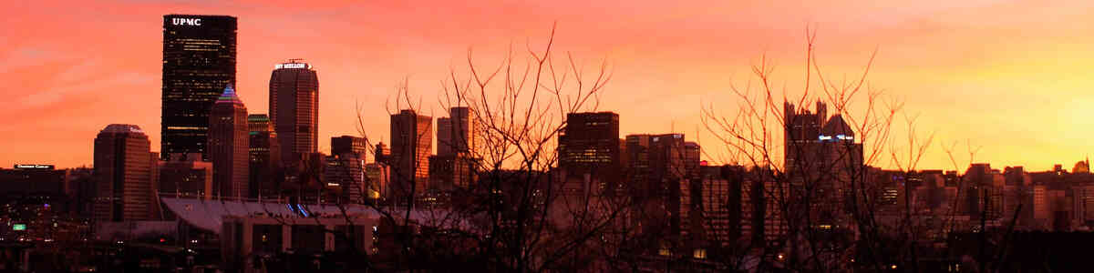 Susan Tacey Shop | Redbubble