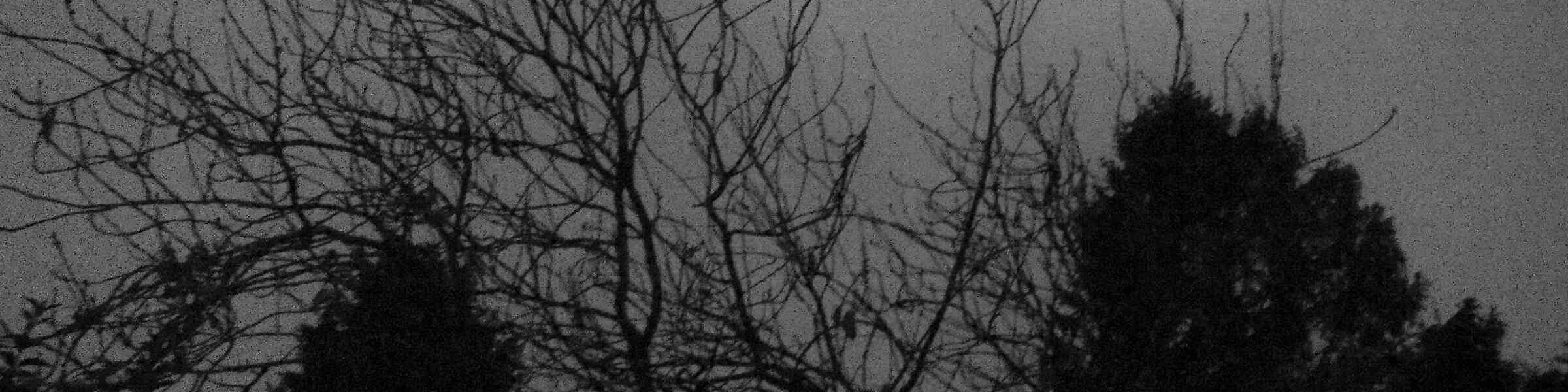 A.S. Blinko Shop | Redbubble