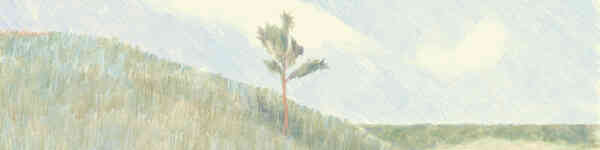 valko Artist Shop | Redbubble