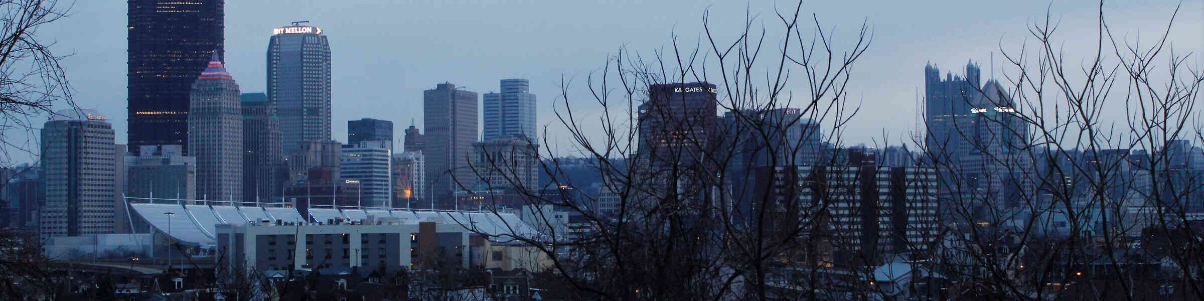 Susan Tacey Shop | Redbubble