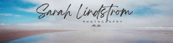 Sarah Lindstrom Shop | Redbubble