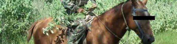 Stickers&More Shop | Redbubble