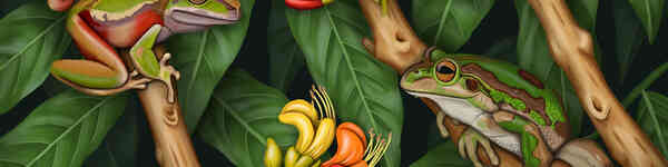 Jen Sanger Shop | Redbubble