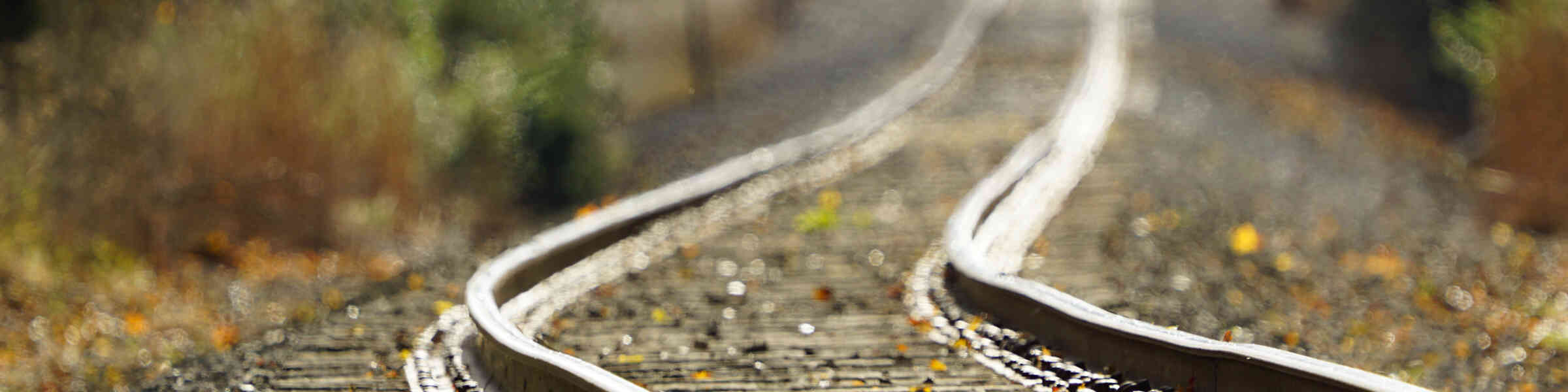 Sherry Riddle Shop | Redbubble