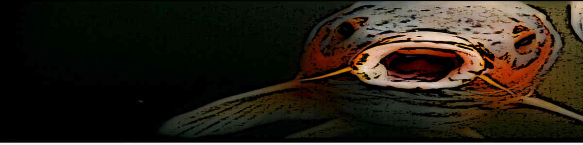 Haleigh Grant Shop | Redbubble