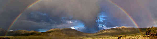 Arla Ruggles Shop | Redbubble