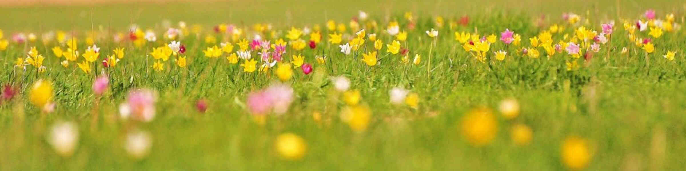 Gareth Stamp Shop | Redbubble