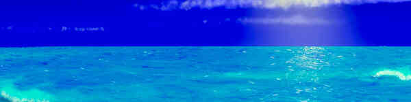 Tienda de Brandy Rawls | Redbubble