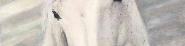 Hilmajosal Shop | Redbubble