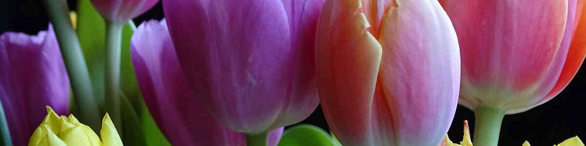 Nancy Polanski Shop | Redbubble